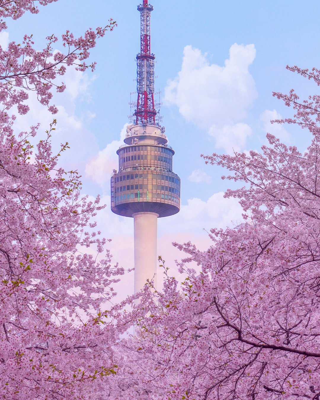 seoul-in-spring-things-to-do-in-seoul - Globelle Gina
